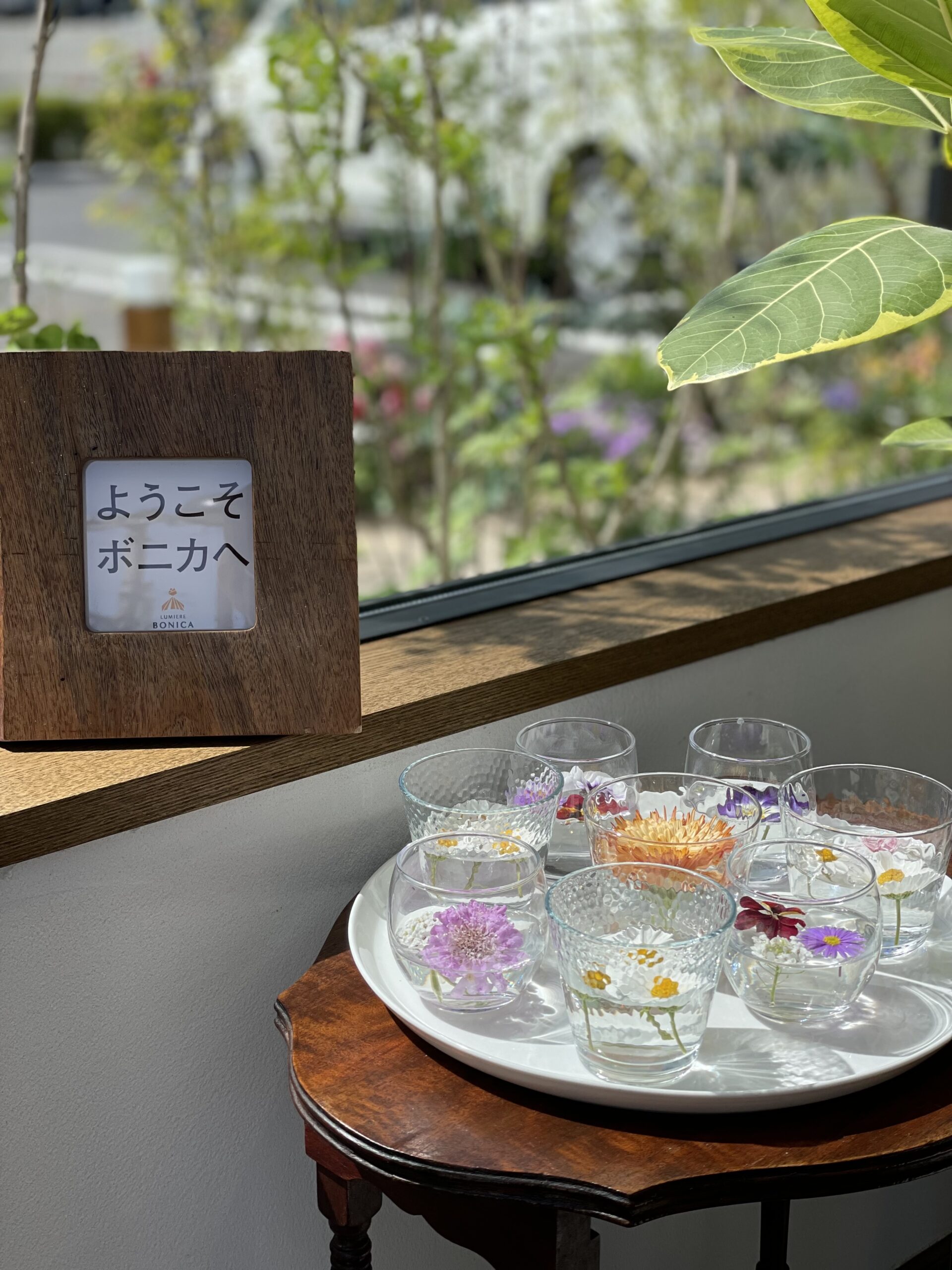 臨時休業のお知らせ ルミエールボニカ|徳島 北島町の洋菓子店